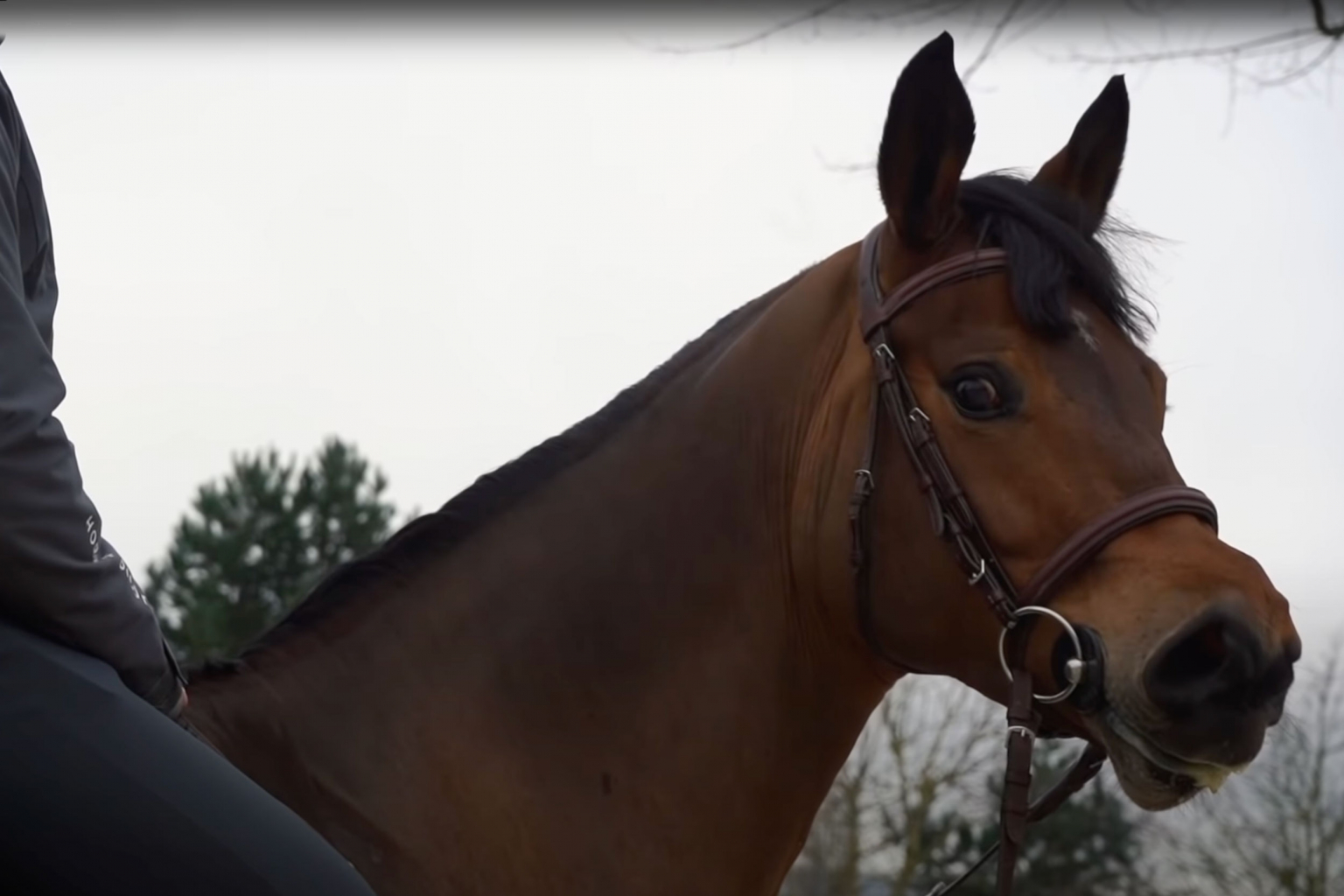 Freezby, la miraculée de Gregory Cottard - Grégory Cottard